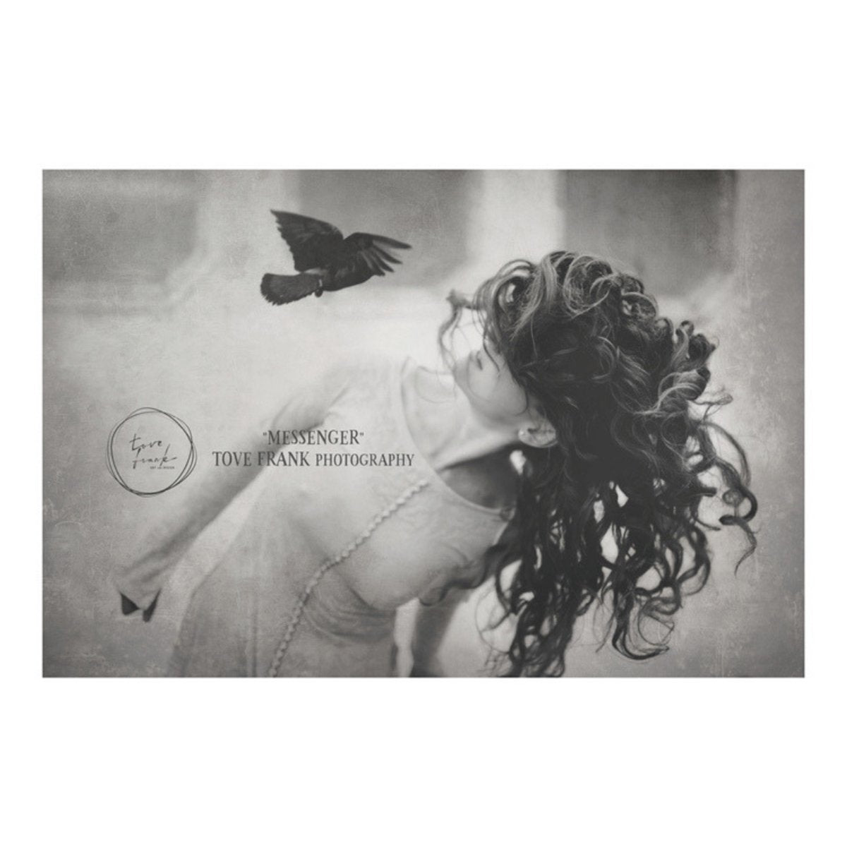 Poster MESSENGER 70x100 – TAKARA NORD